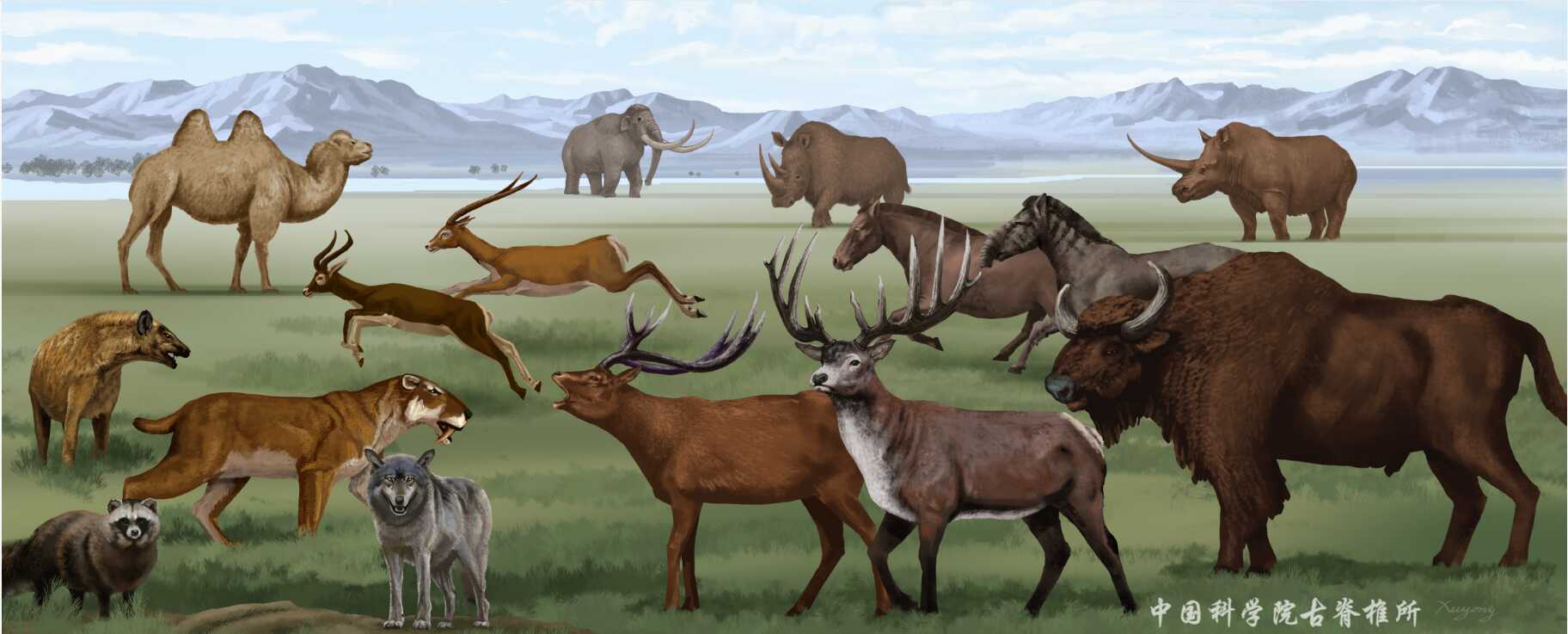 古脊椎所两项科普作品在2025年中国科学院科普视频图片大赛中获奖----中国科学院古脊椎动物与古人类研究所